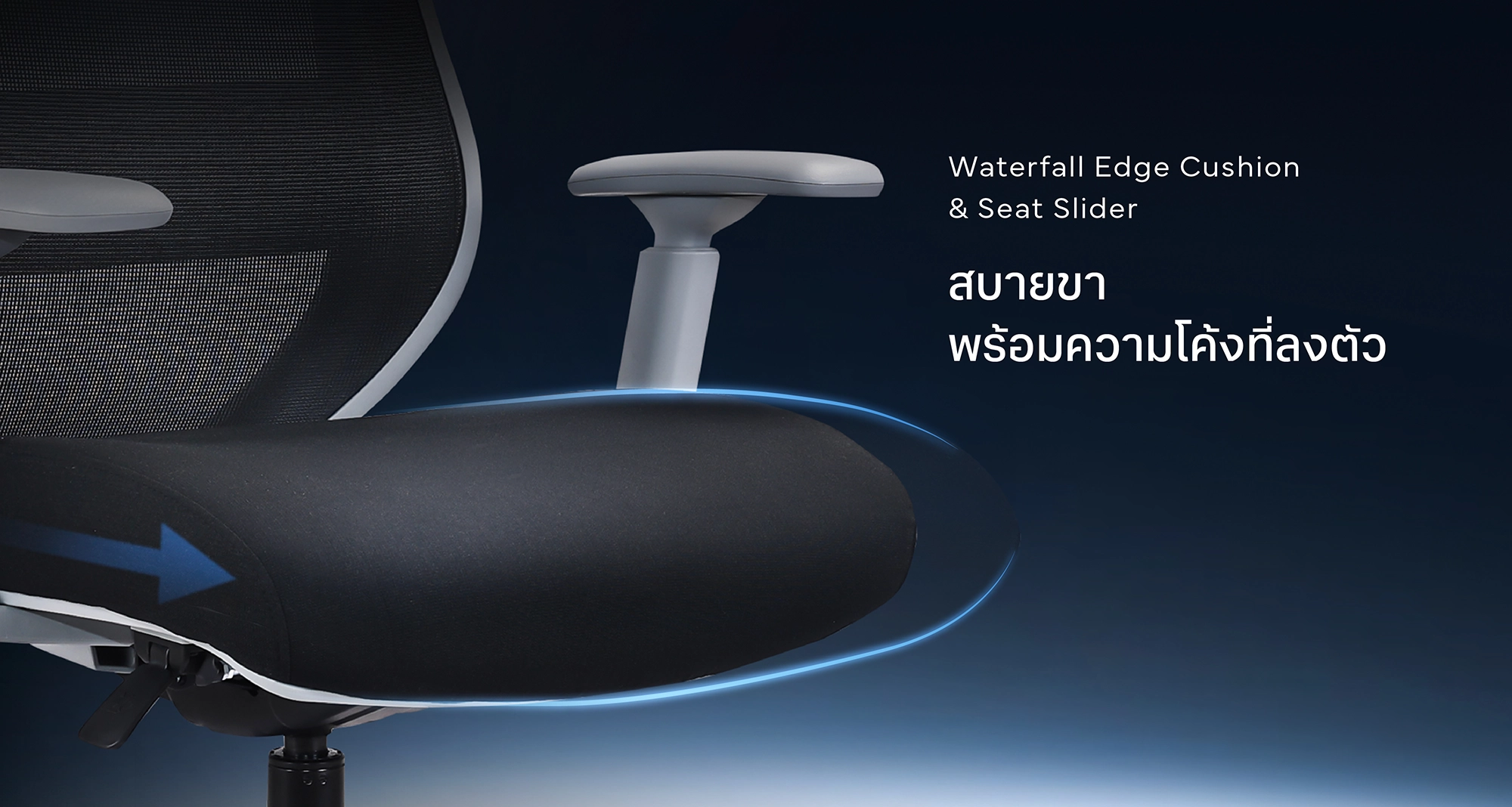 เก้าอี้เพื่อสุขภาพ Lunio Ergo Apollo Smart X2 | Lunio